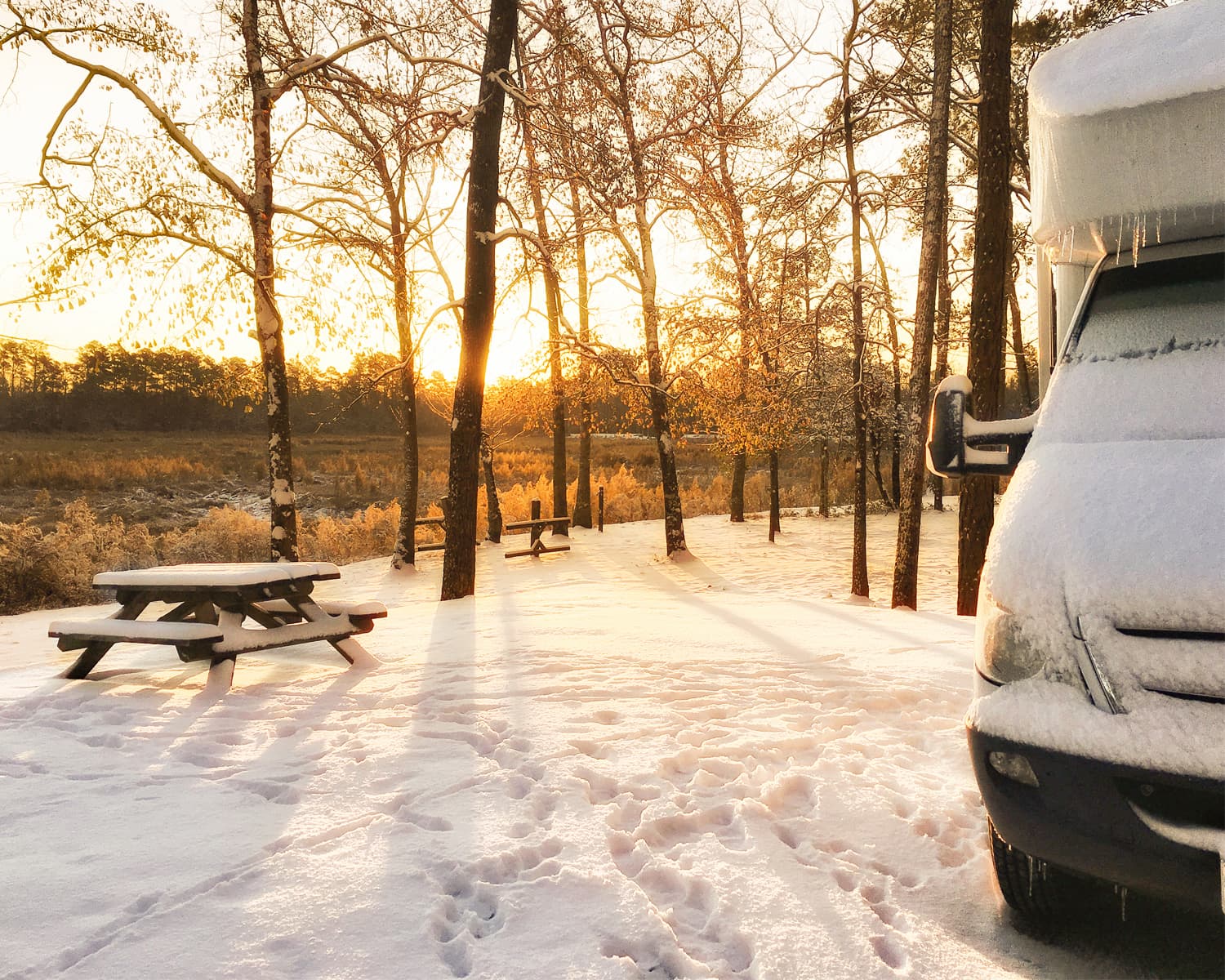 Rada UK - Commercial taps, showers and washroom experts